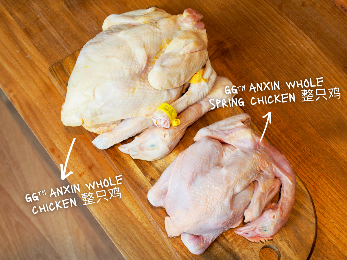 GG™ AnXin Whole Spring Chicken 整只鸡 – Quan Shui Wet Market