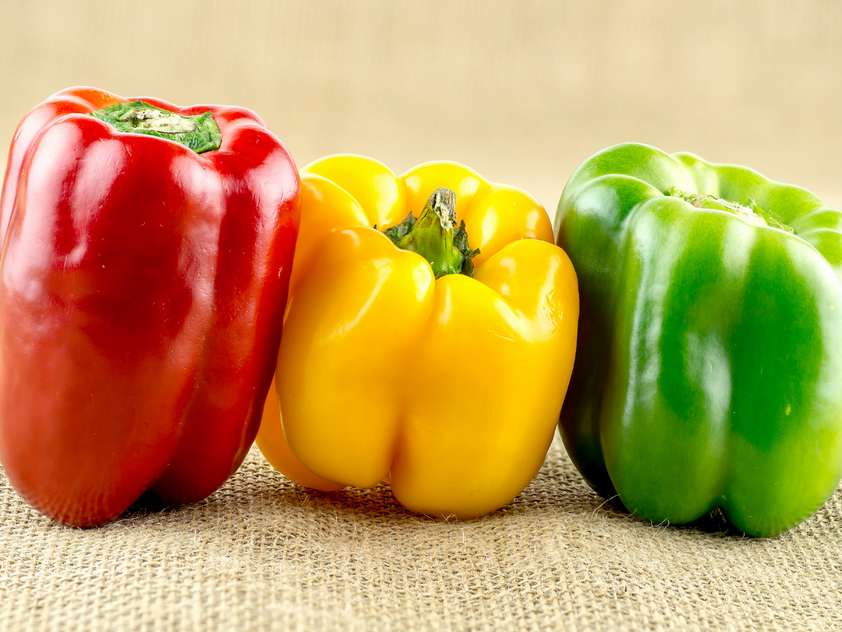 Cameron Highlands Tri Colour Capsicum Bell Peppers 金马伦高原灯笼椒 – Quan Shui ...