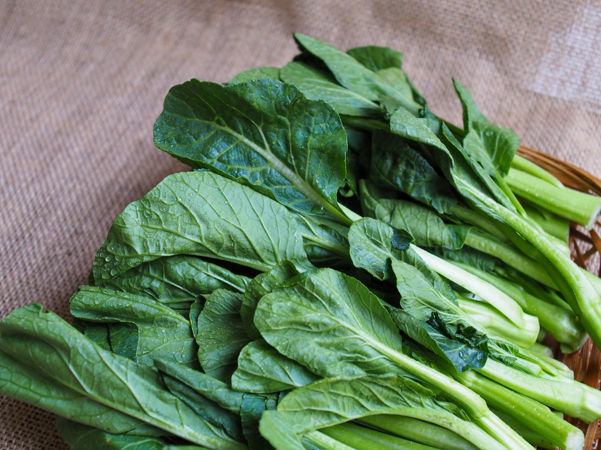 Hong Kong Choy Sum 香港菜心 – Quan Shui Wet Market